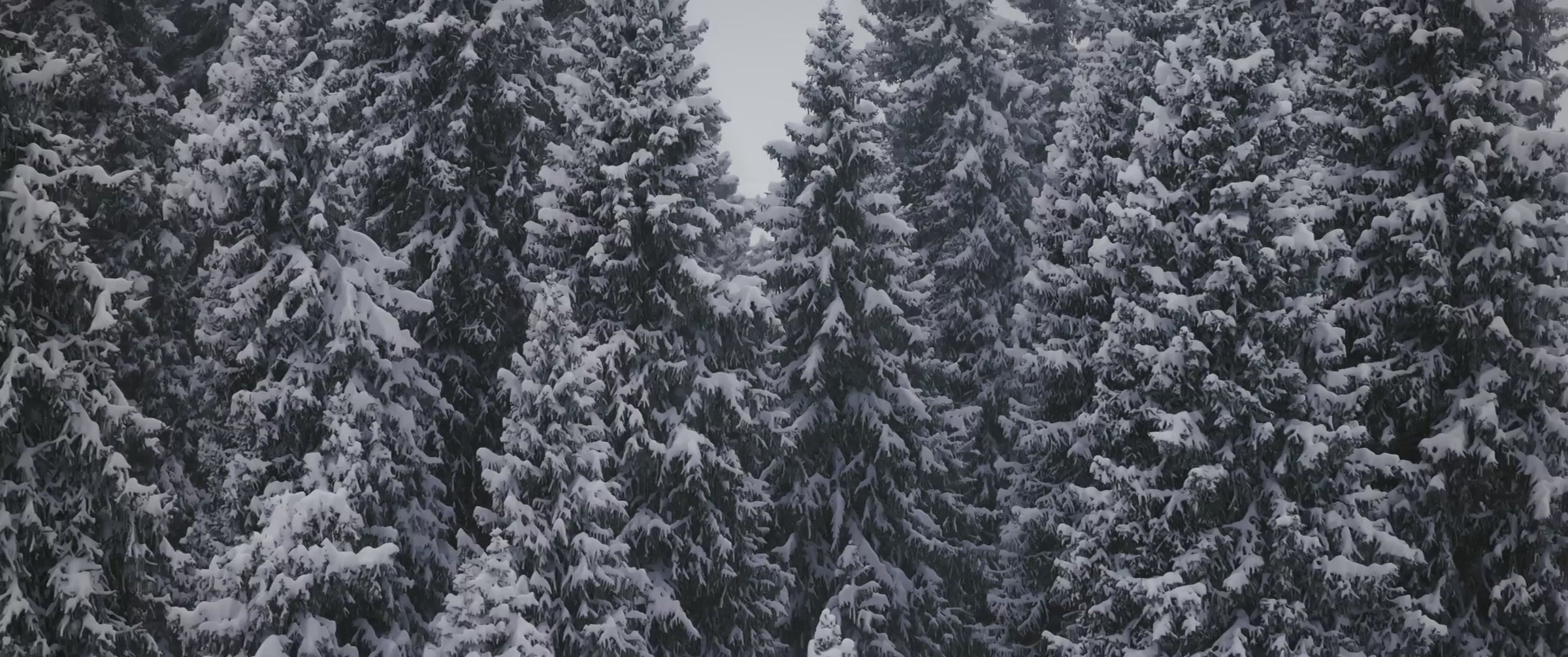 Hypershell X – Hypershell JP